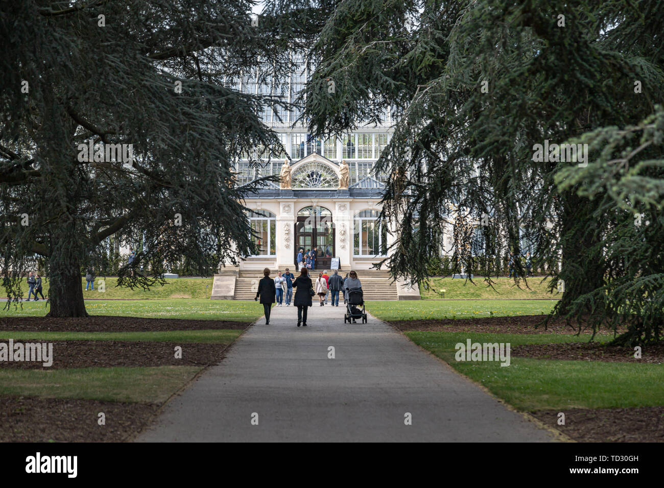 The tree-lined approach to the Temperate House in Kew Gardens Stock ...