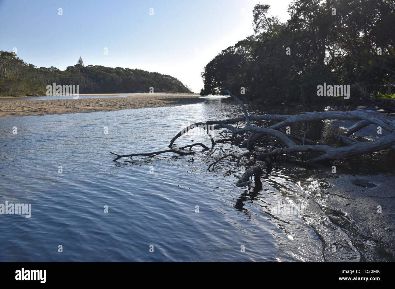 Woolgoolga headland hi-res stock photography and images - Alamy