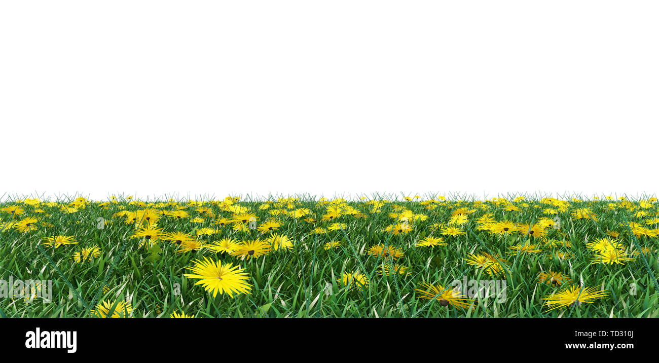 Grass and flowers isolated background Stock Photo - Alamy