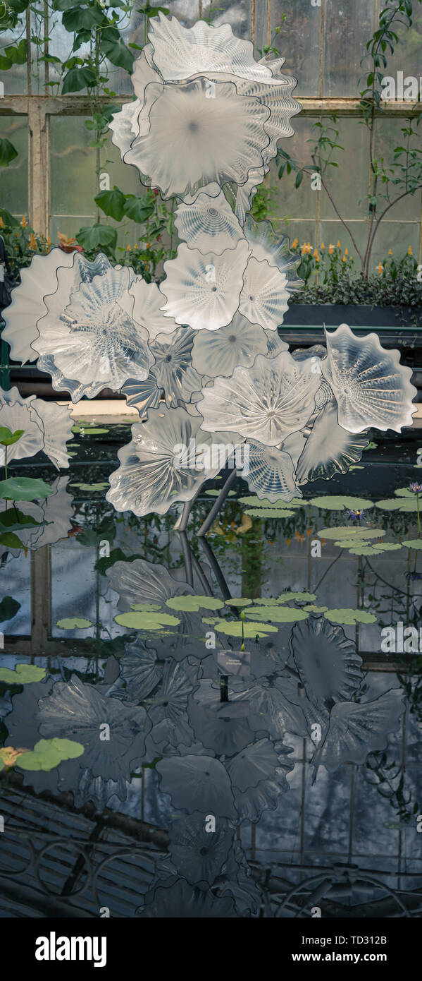 Ethereal White Persian Pond by Dale Chihuly, part of a glass sculpture ...