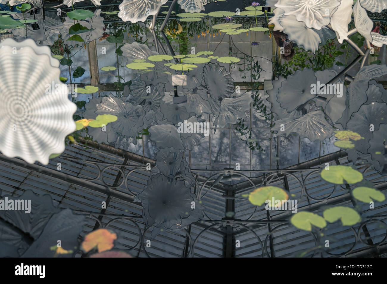 Ethereal White Persian Pond by Dale Chihuly, part of a glass sculpture ...