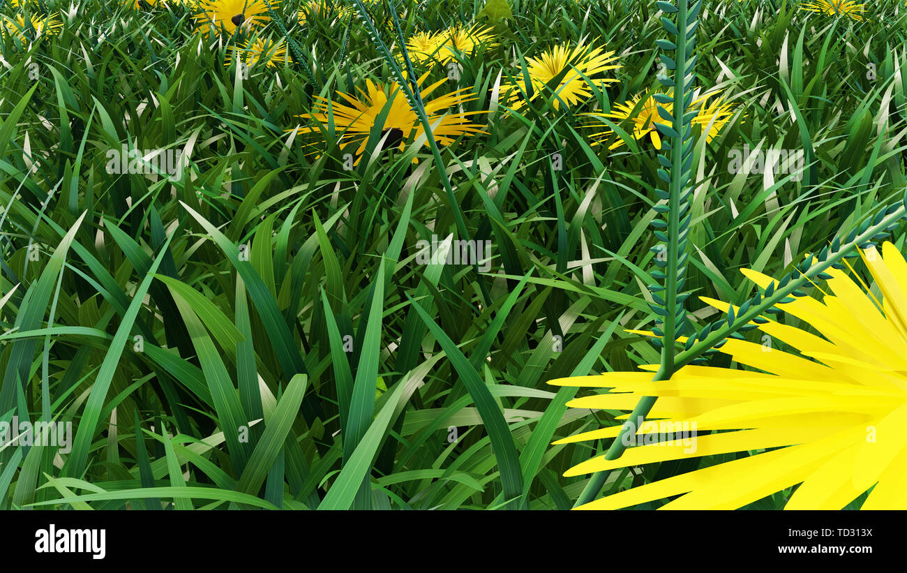 Top view of green grass and dandelion flowers Stock Photo - Alamy