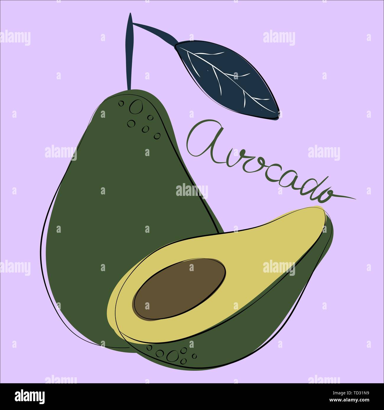 Vector illustration of whole and cut avocados on pastel purple ...