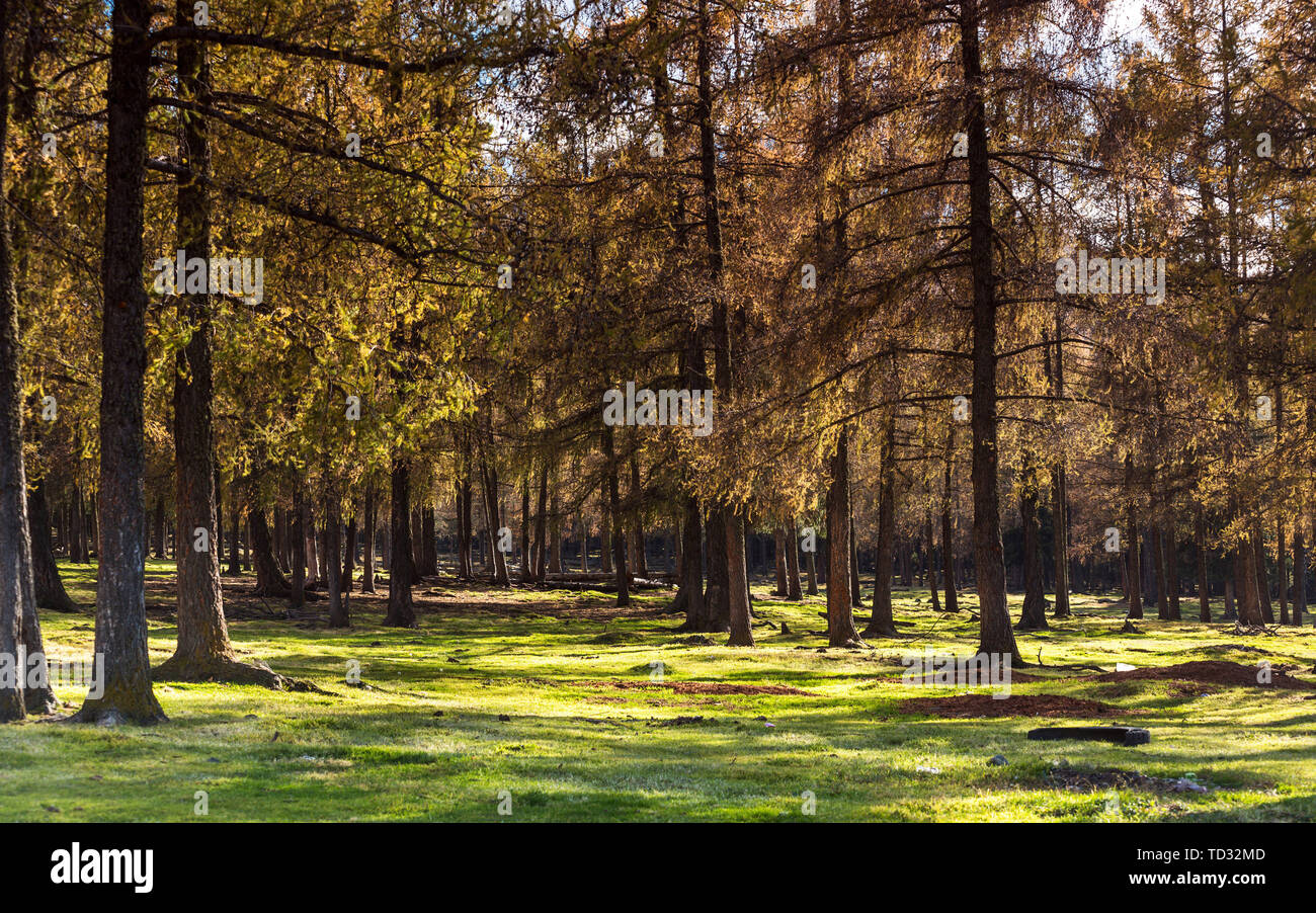 The natural scenery Stock Photo - Alamy