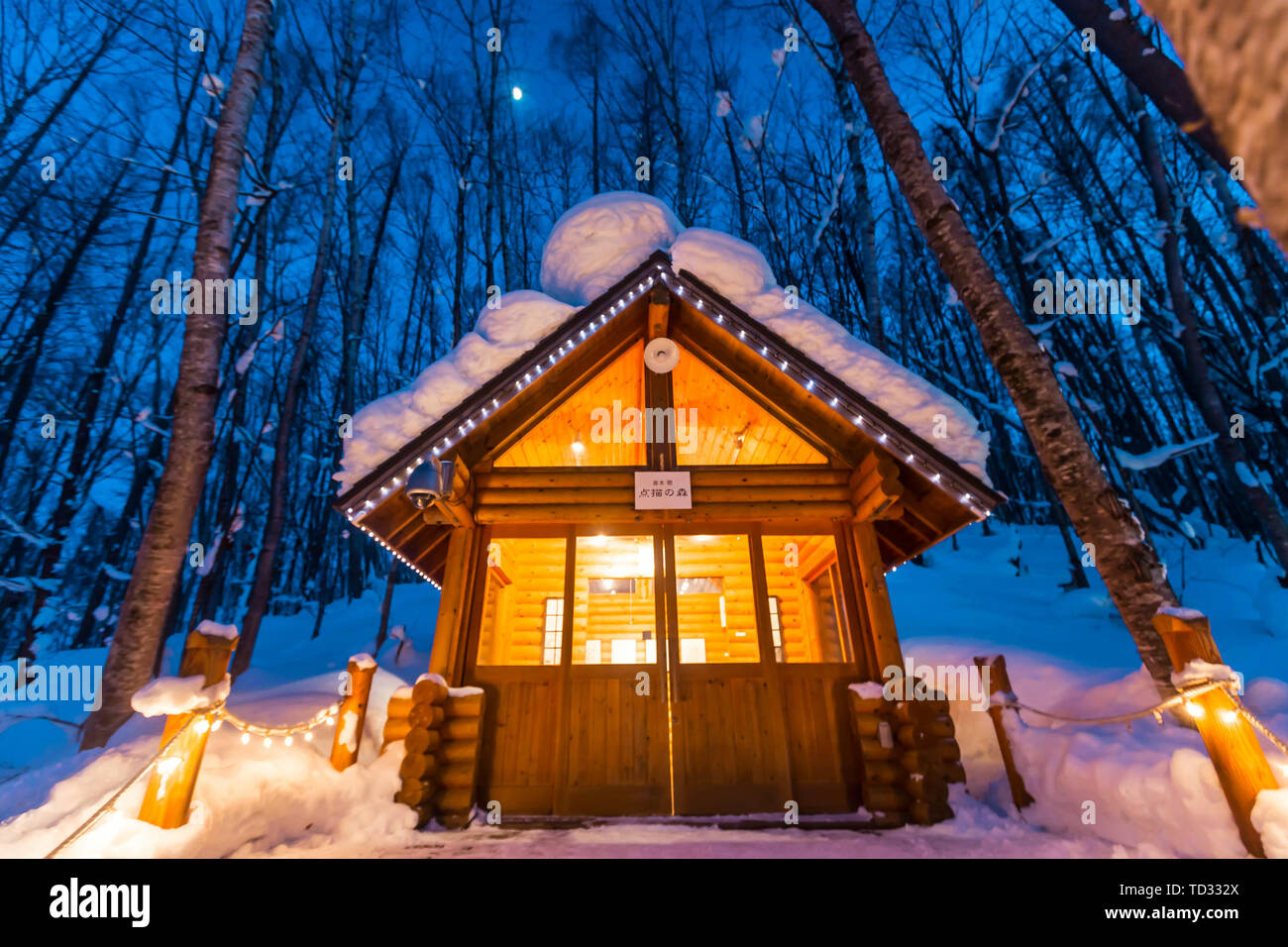 Hokkaido in winter is as pure as a fairy tale, and the forest elf ...