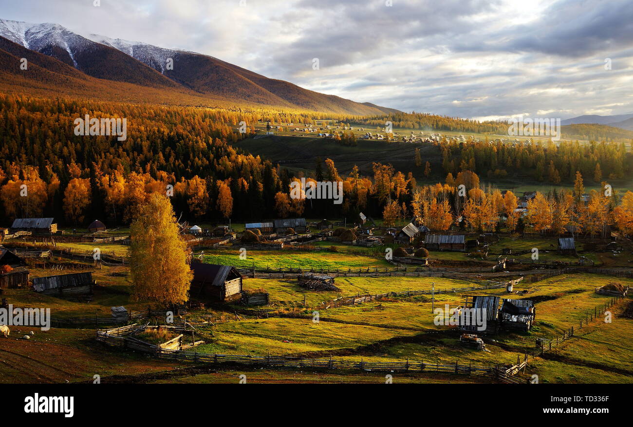 Creative pictures include scenery, architecture, animals, etc Stock ...