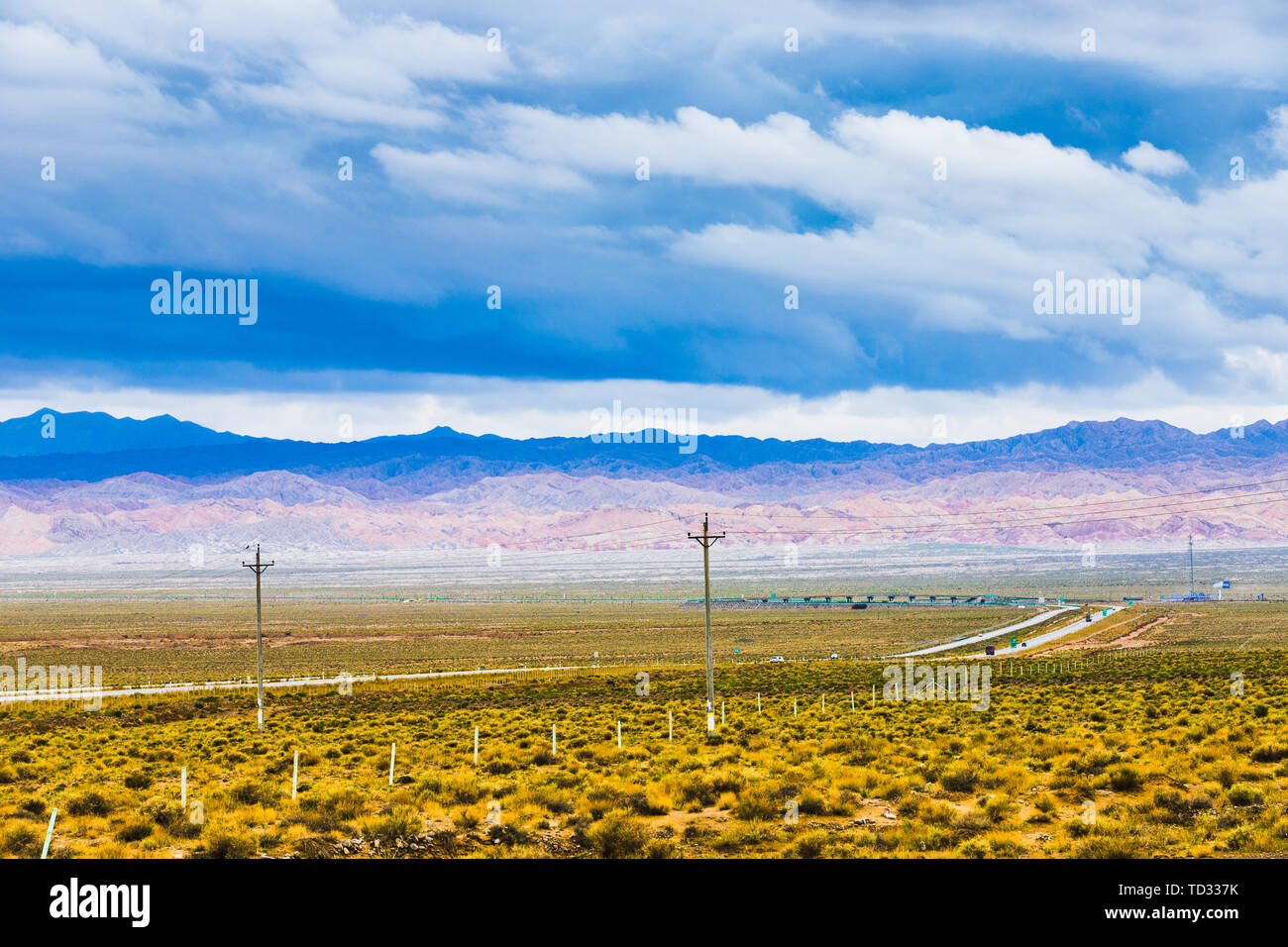 Picture of Tai Chai Dan Stock Photo - Alamy