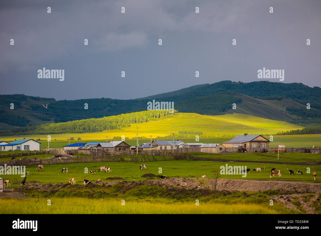 Hulunbuir prairie wide hi-res stock photography and images - Alamy