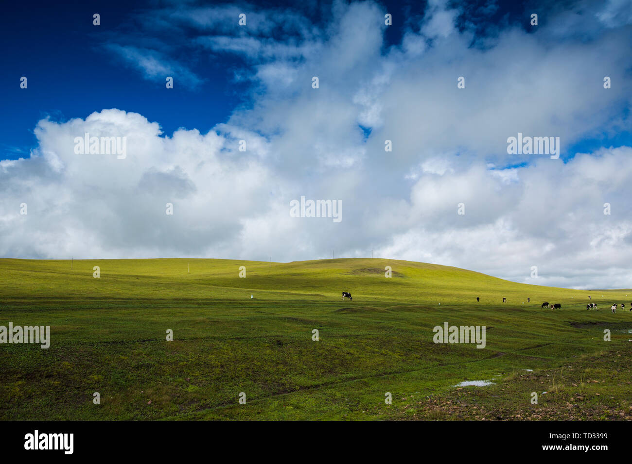 Hulunbuir prairie wide hi-res stock photography and images - Alamy