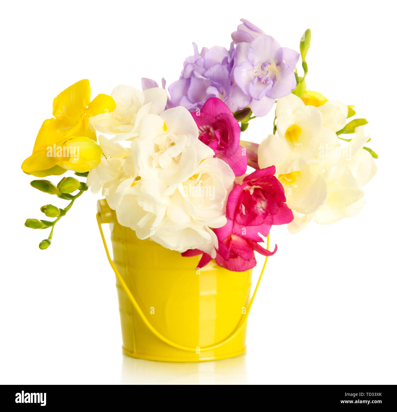 Beautiful bouquet of freesias in pail, isolated on white Stock Photo ...