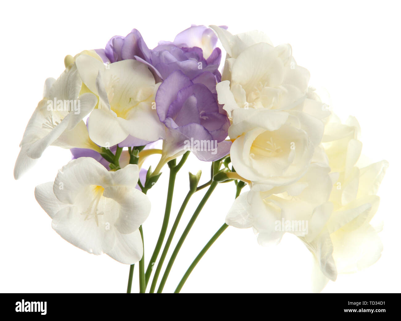 Beautiful bouquet of freesias, isolated on white Stock Photo - Alamy