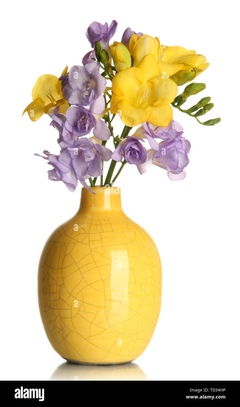 Beautiful bouquet of freesias in vase, isolated on white Stock Photo ...