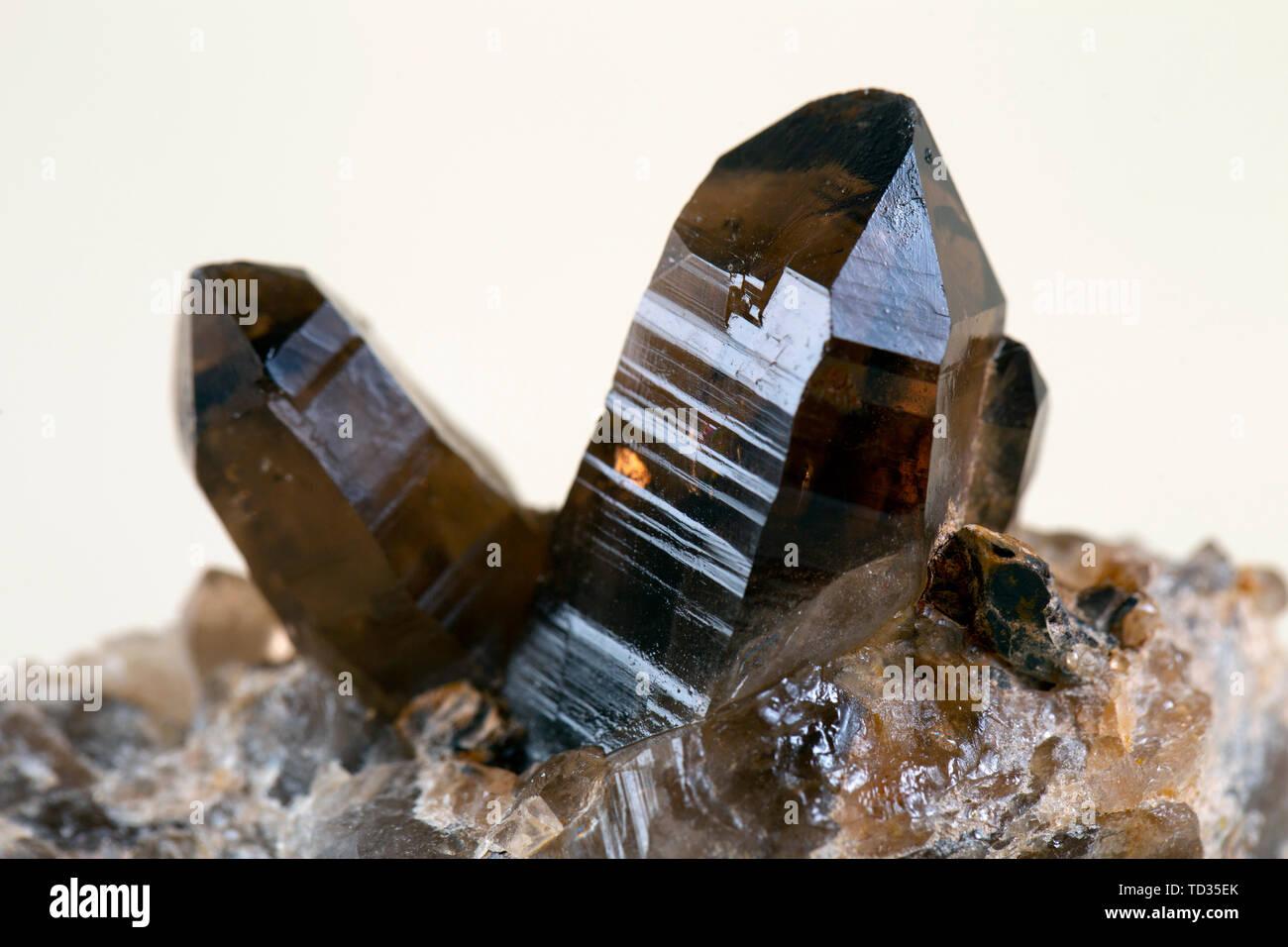 Macro mineral stone Morion crystal in the rock a white background close ...