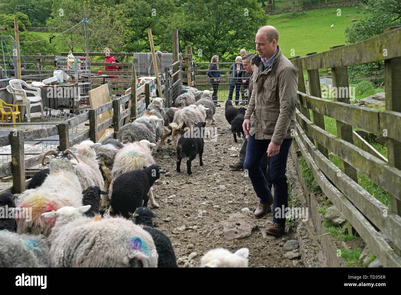 The Duke and Duchess of Cambridge during a visit to Deepdale Hall Farm ...