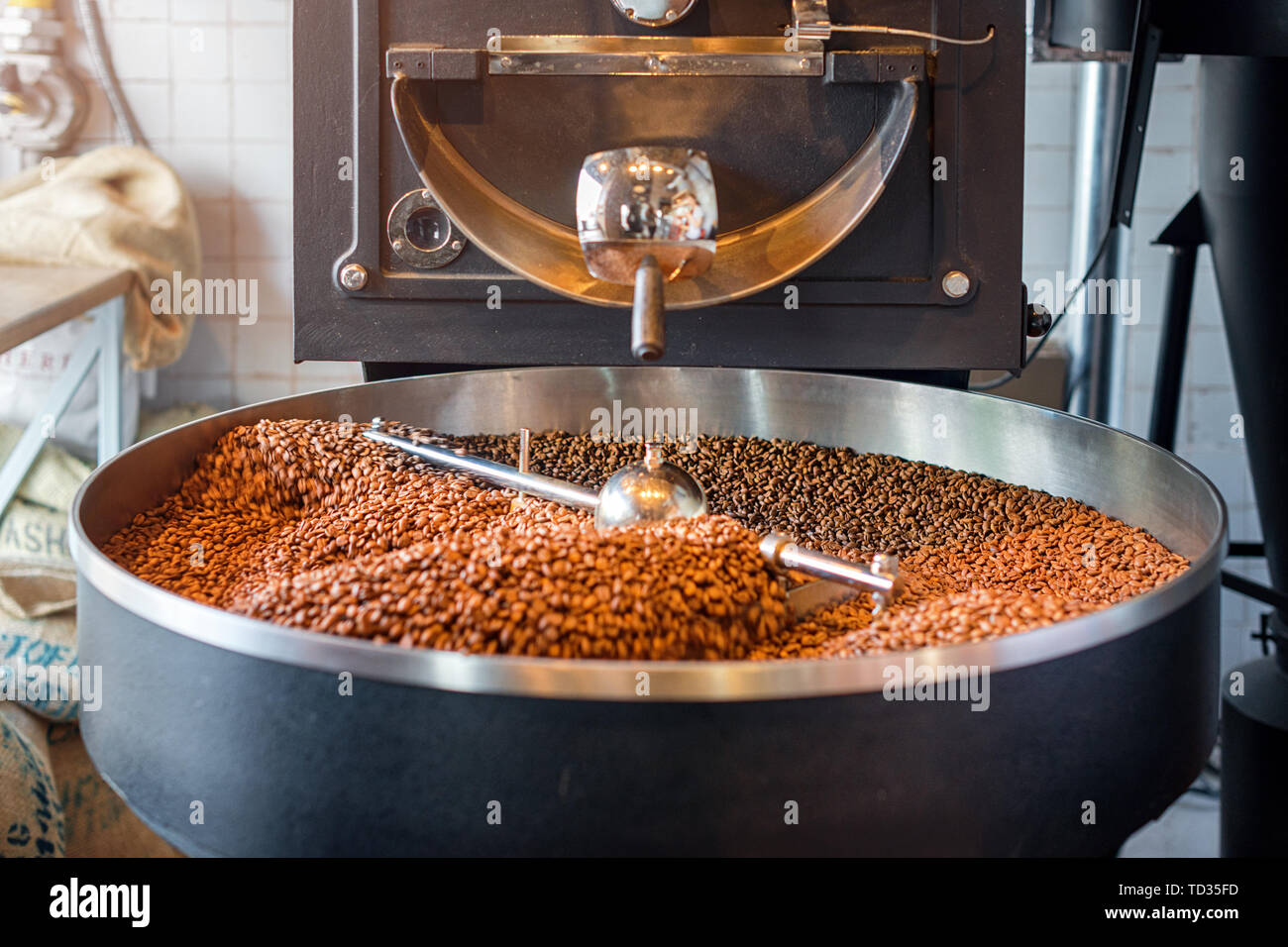 Freshly roasted coffee beans from a large roaster in the cooling ...