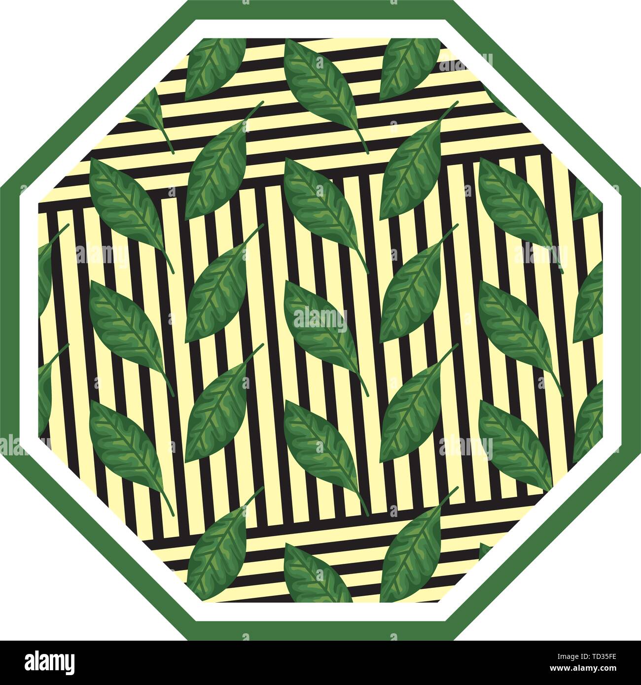 Rhombus plants hi-res stock photography and images - Alamy