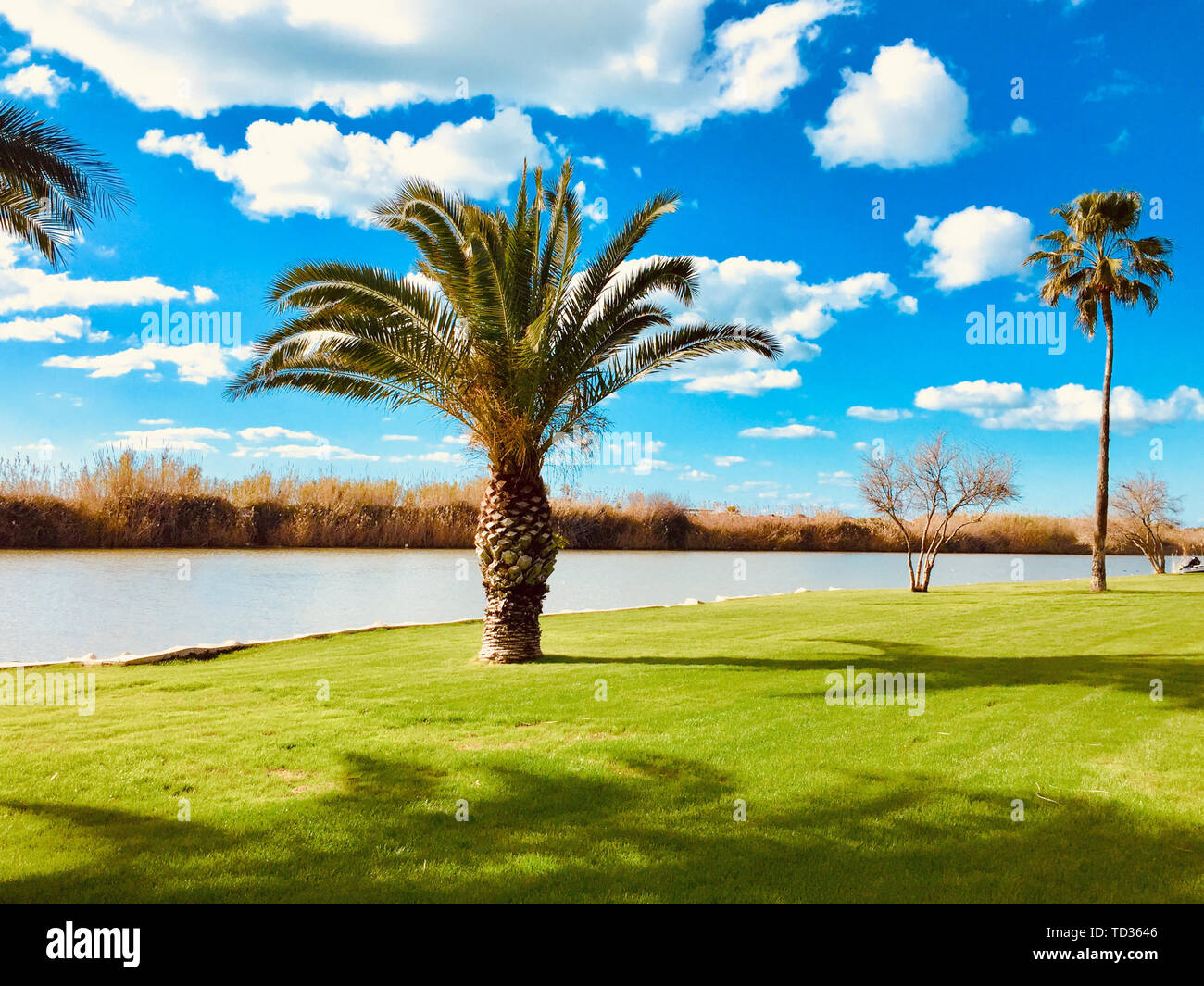 Art beautiful seaside view the background landscape Stock Photo - Alamy