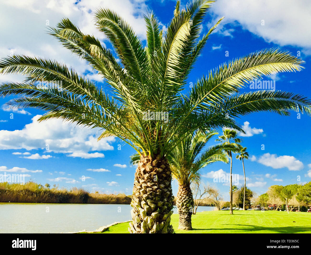 Art beautiful seaside view the background landscape Stock Photo - Alamy