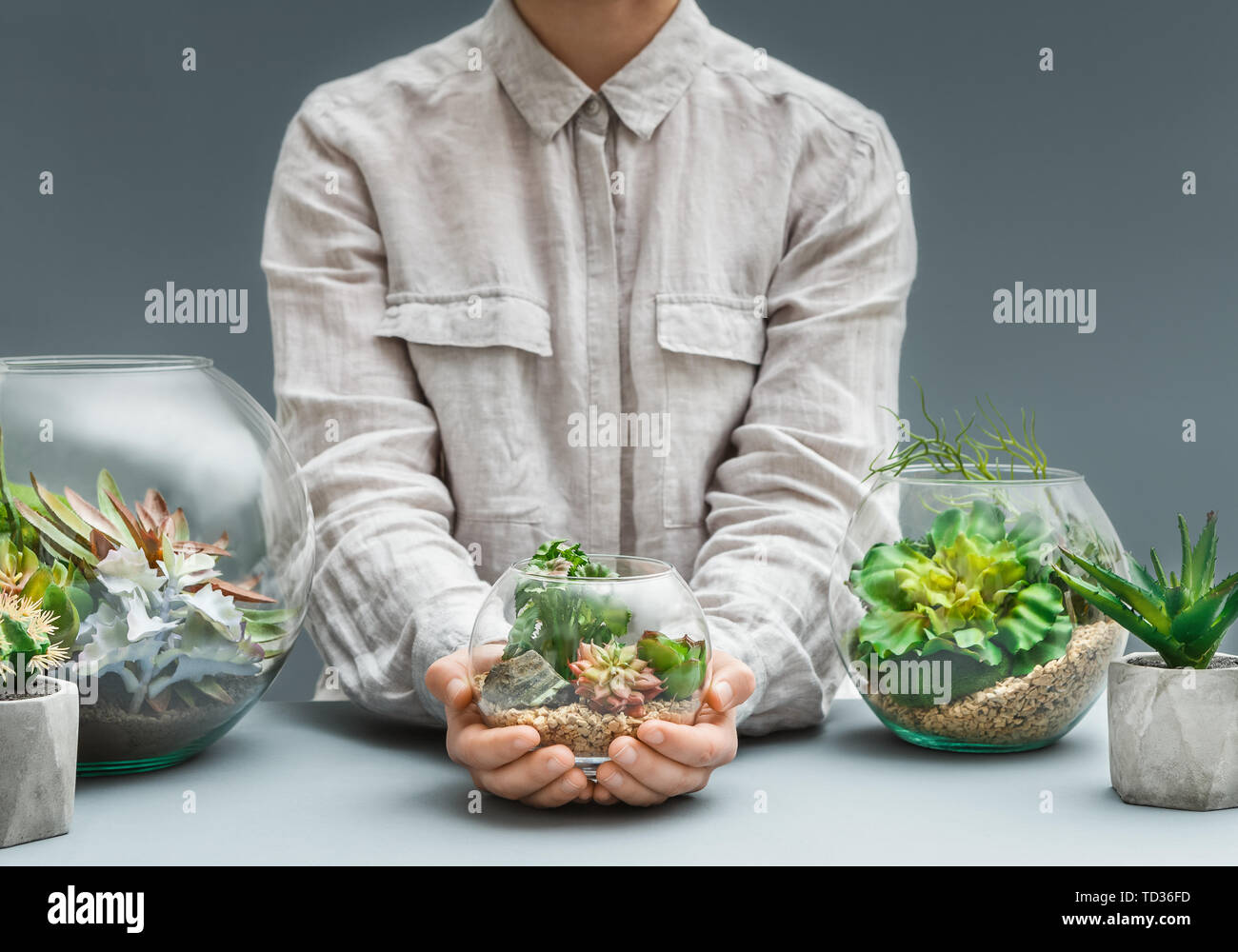 Decorative florariums. Home gardening hobby concept closeup Stock Photo ...