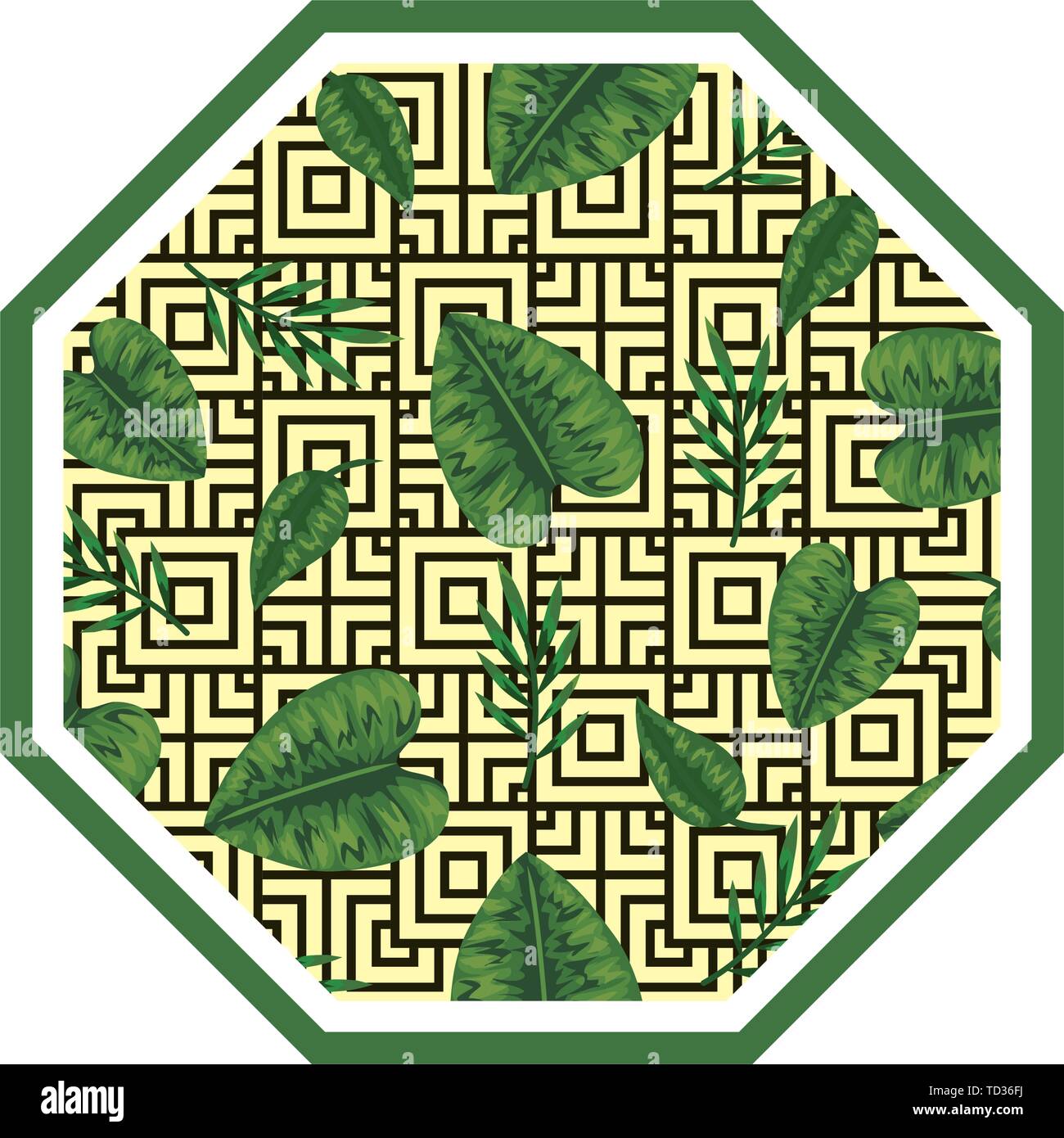 Rhombus shape in nature hi-res stock photography and images - Alamy