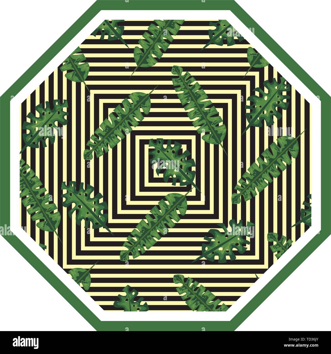 Rhombus plants hi-res stock photography and images - Alamy