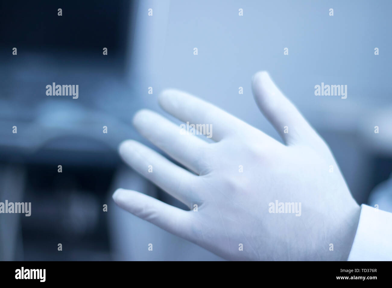 Doctor medical glove on hand in hospital clinic center Stock Photo - Alamy