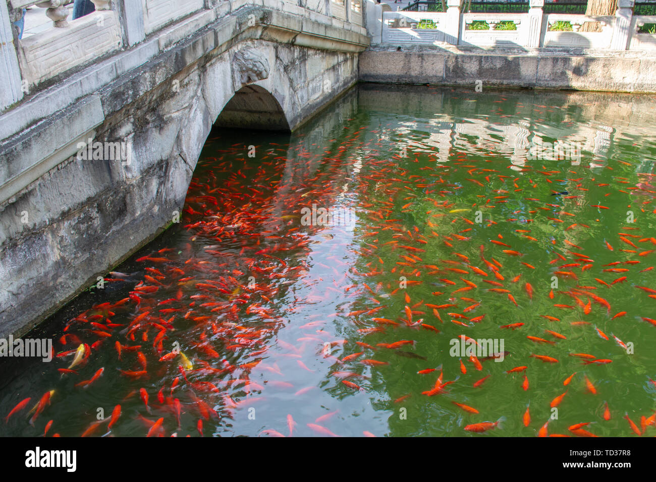 temple of heaven Stock Photo - Alamy