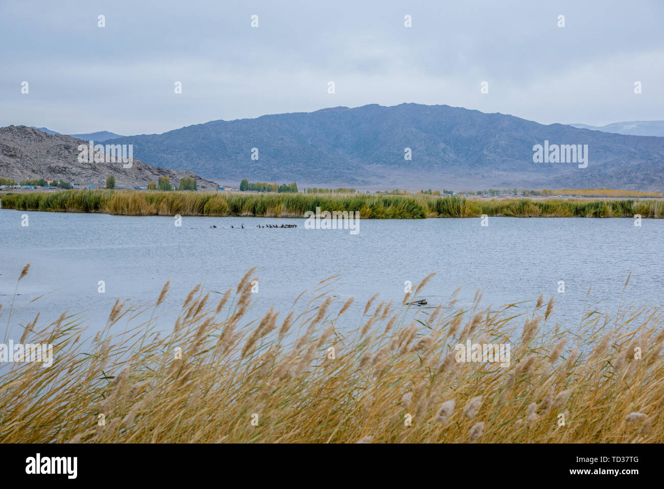 Quiet rivers hi-res stock photography and images - Alamy