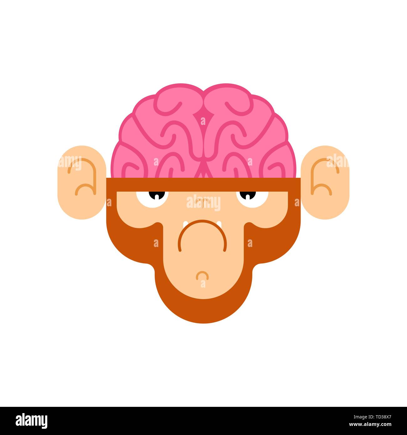Chimpanzee human brain Stock Vector Images - Alamy