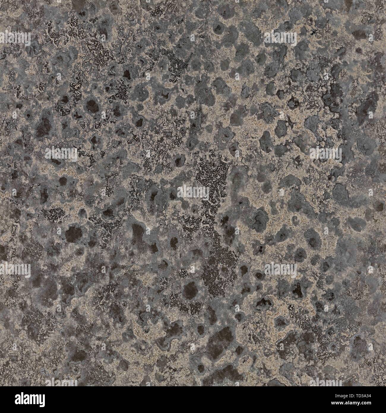 Bacteria cell under light microscope hi-res stock photography and ...