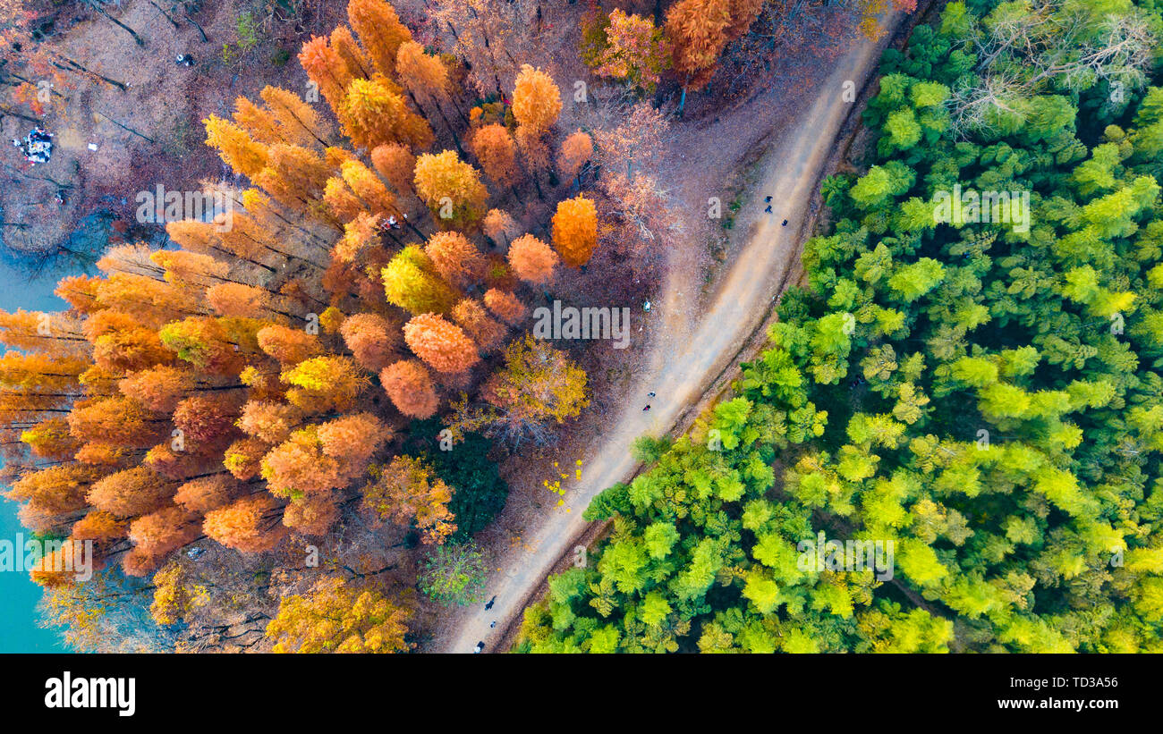 Backstage coloring hi-res stock photography and images - Alamy