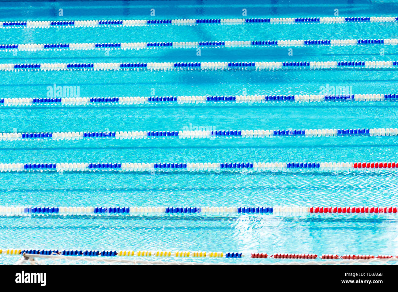 competition swimming lanes in a large swimming pool on a sunny day ...