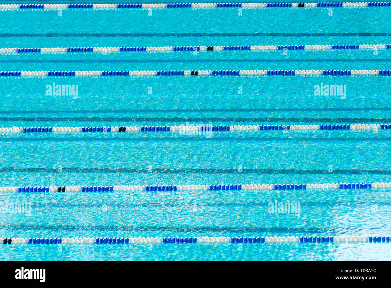competition swimming lanes in a large swimming pool on a sunny day ...