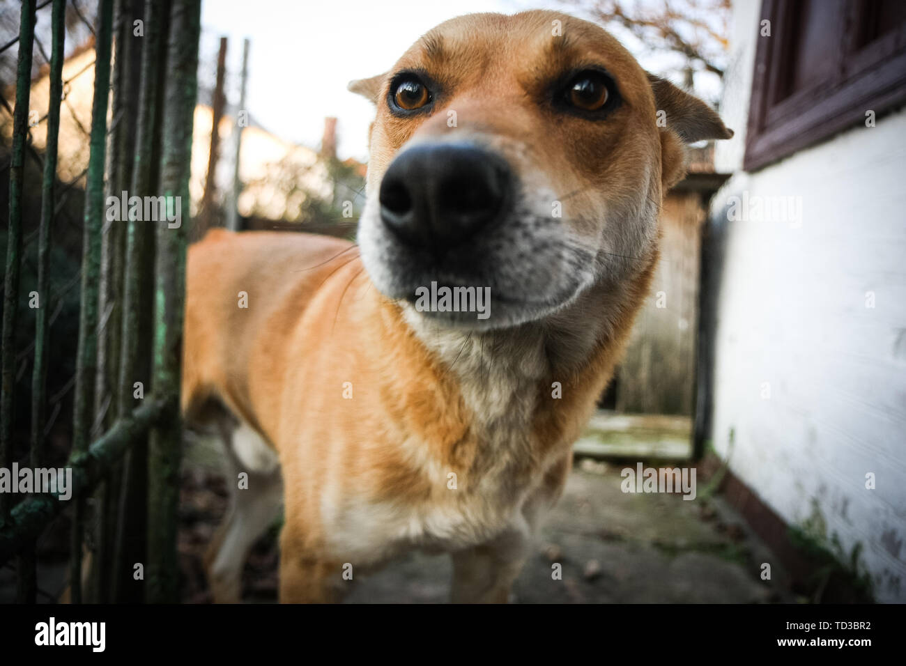 Sad view hi-res stock photography and images - Alamy