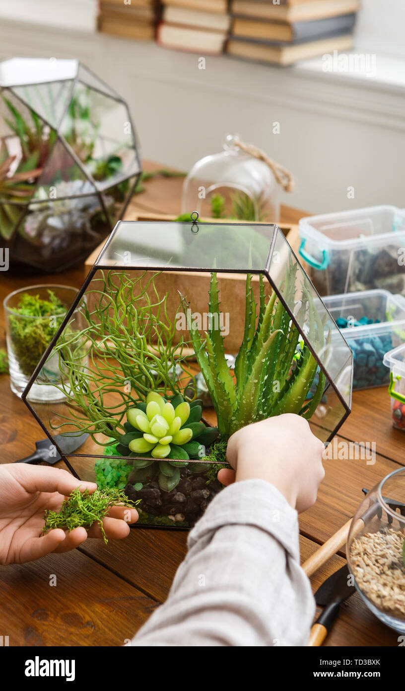 Succulent plants in florarium hi-res stock photography and images - Alamy
