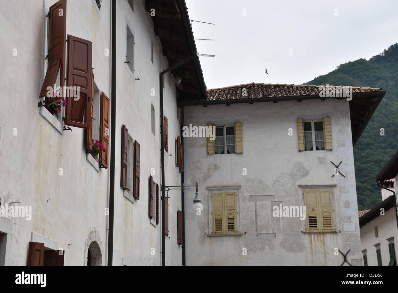 Venzone, Udine, Friaul, Italien, Lavendel, Lavendelstadt, Stadtmauer ...