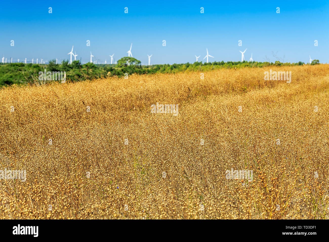 Hebei zhangbei hi-res stock photography and images - Alamy