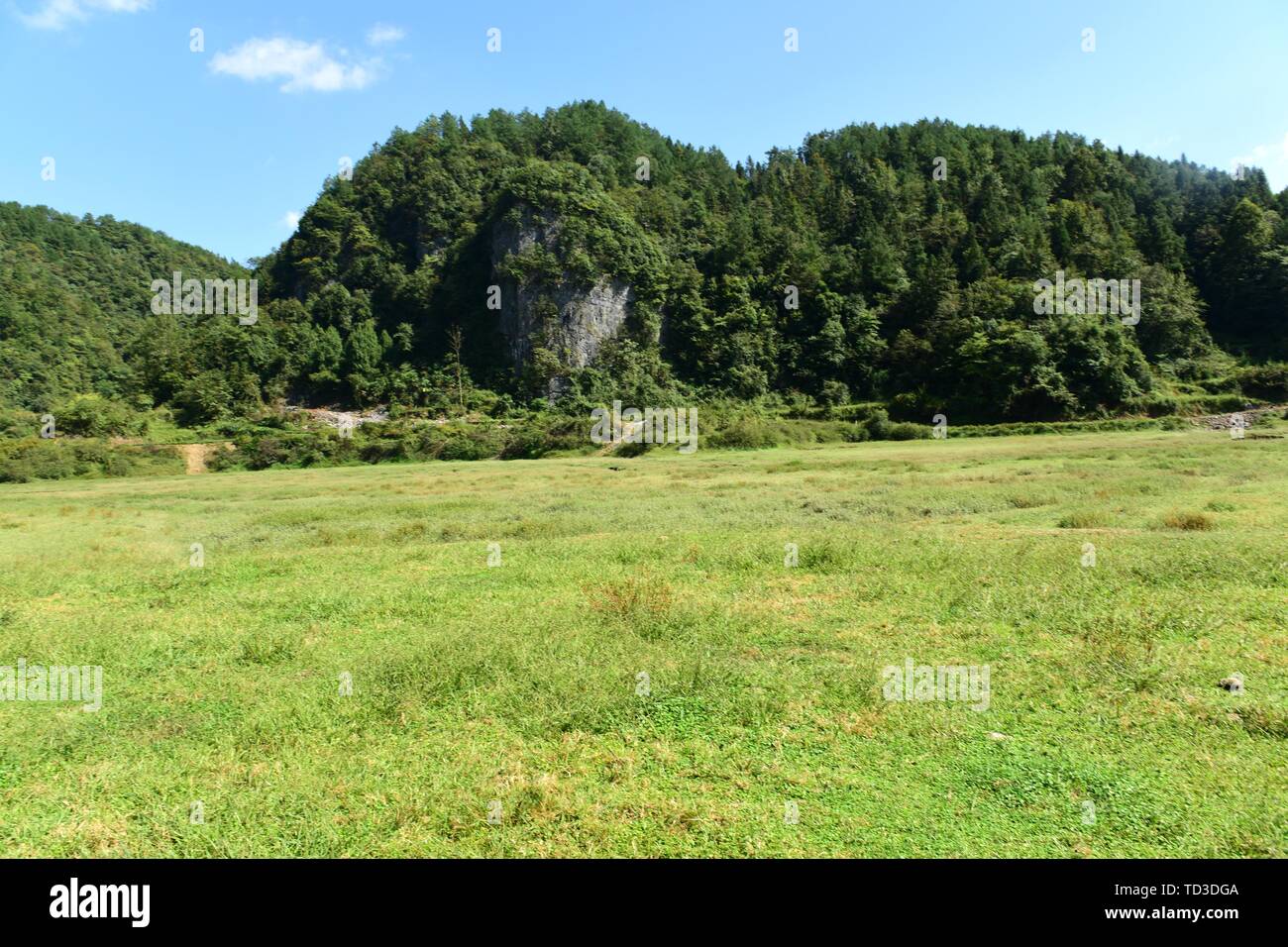 Bashiba hi-res stock photography and images - Alamy