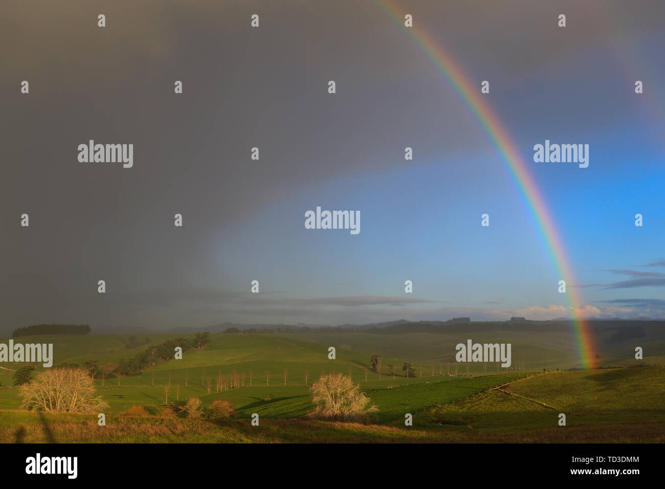 New Zealand Ranch Rainbow Stock Photo - Alamy