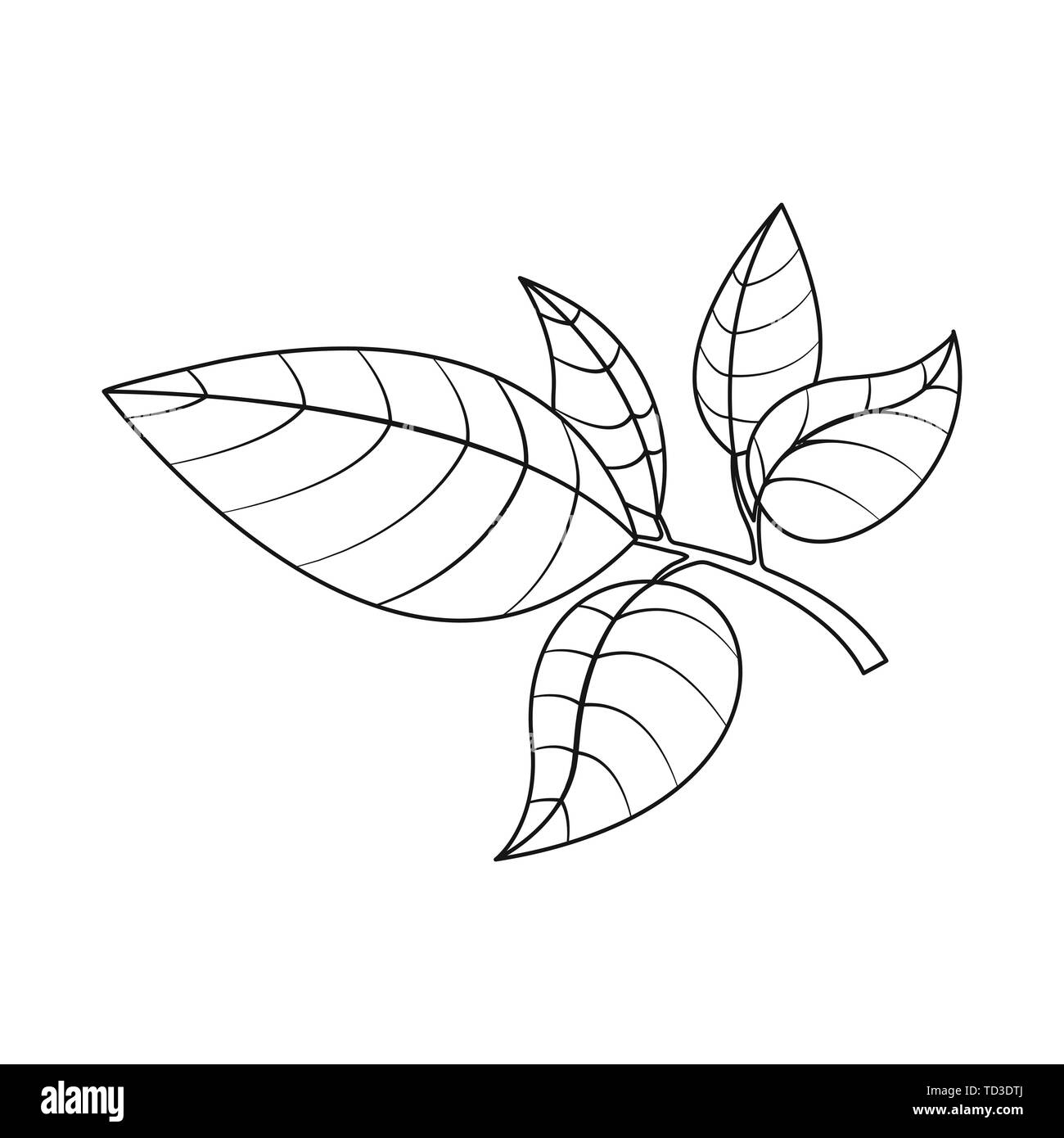 Mint green gradient Black and White Stock Photos & Images - Alamy