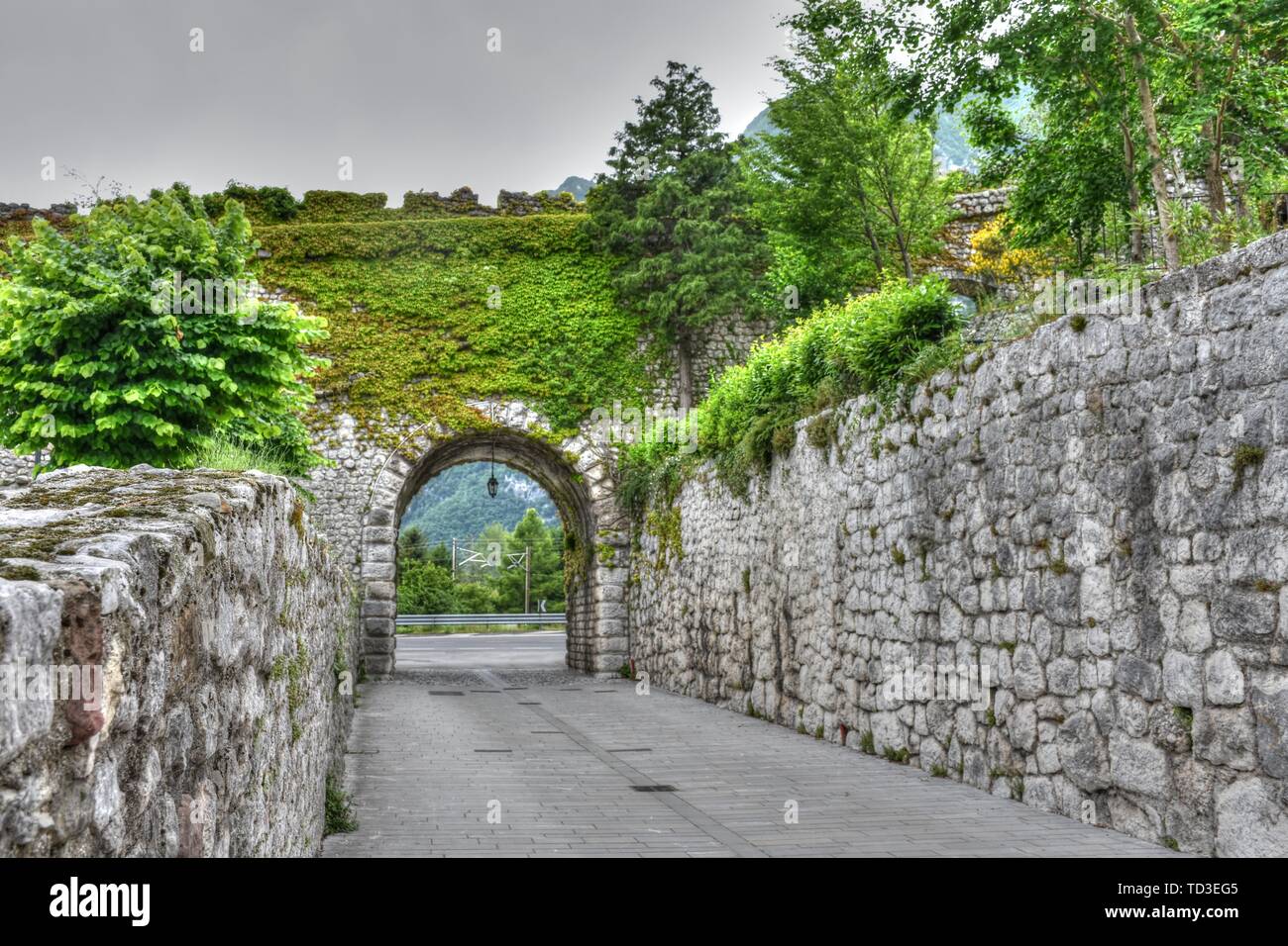 Venzone, Udine, Friaul, Italien, Lavendel, Lavendelstadt, Stadtmauer ...