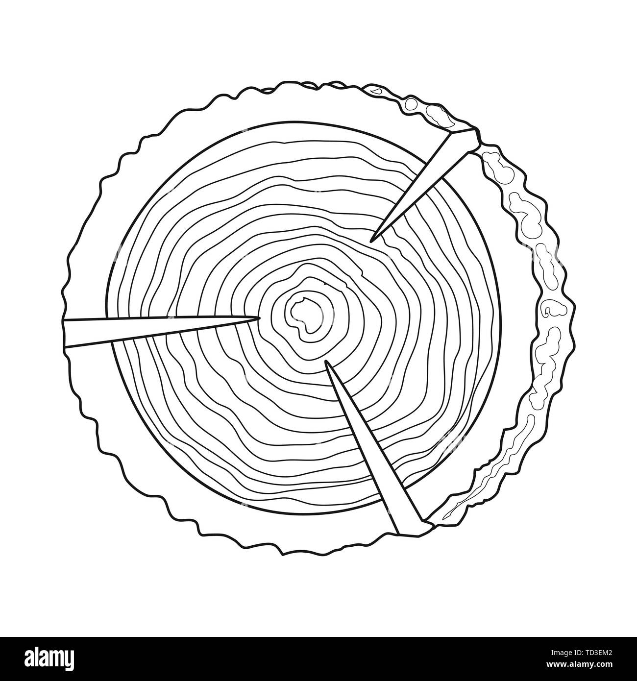 Vector design of deck and timber symbol. Collection of deck and texture ...