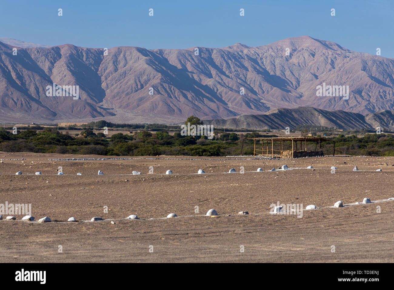 Chauchilla Cemetery, Ica Chincha burial site and tombs near to Nazca ...