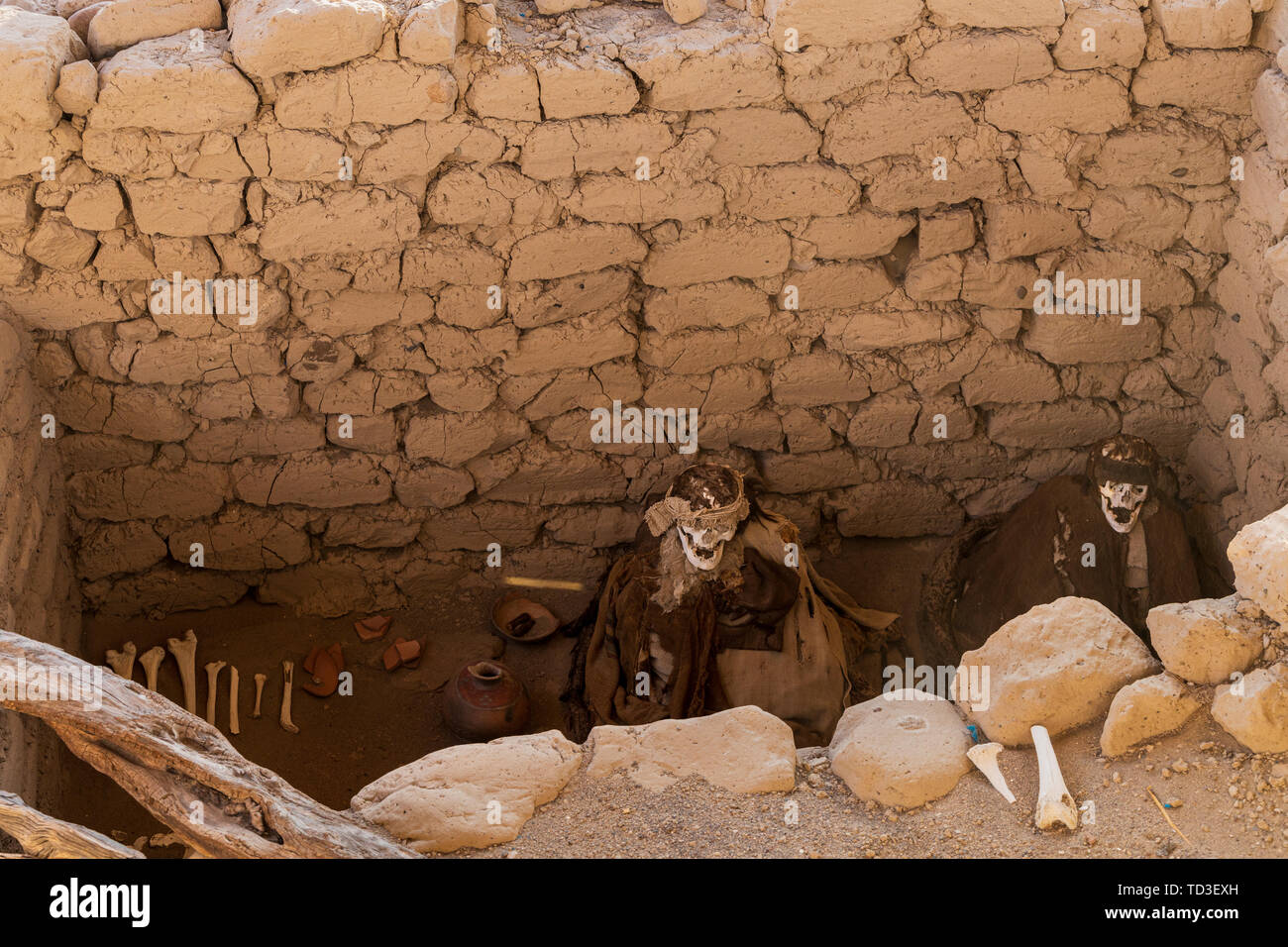 Mummified remains in the Chauchilla Cemetery, Ica Chincha burial site ...