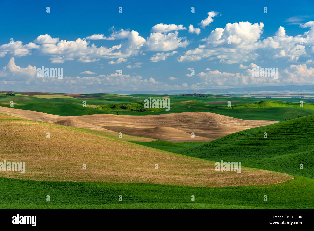 Rolling hills and grain field patterns of the Palouse, Washington, USA ...