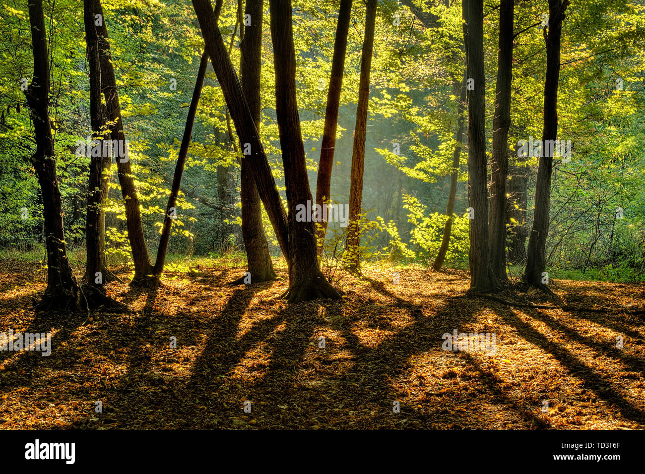 Illuminated magic sun hi-res stock photography and images - Alamy