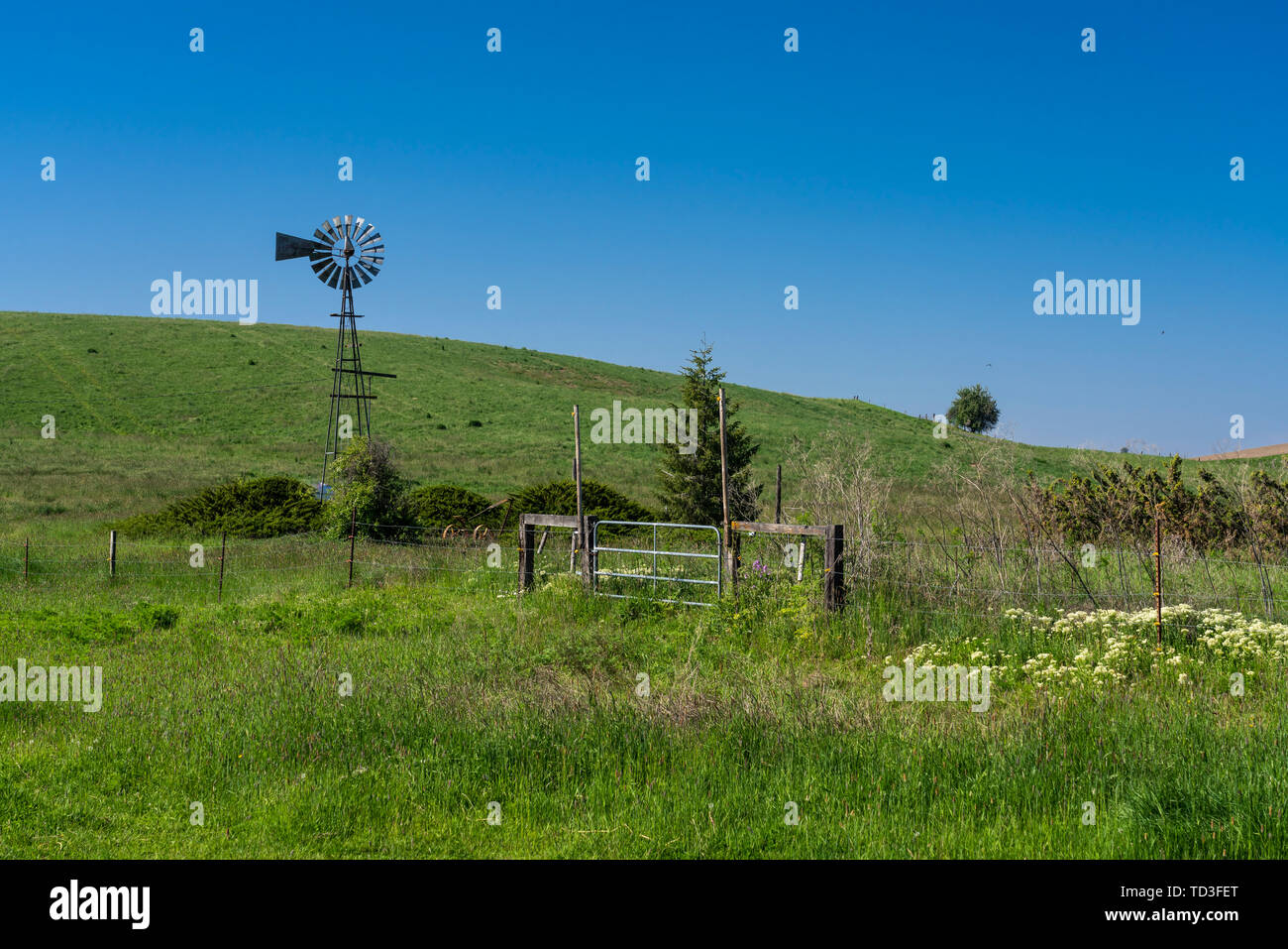A windmill in the rolling hills of the Palouse, Washington, USA Stock ...