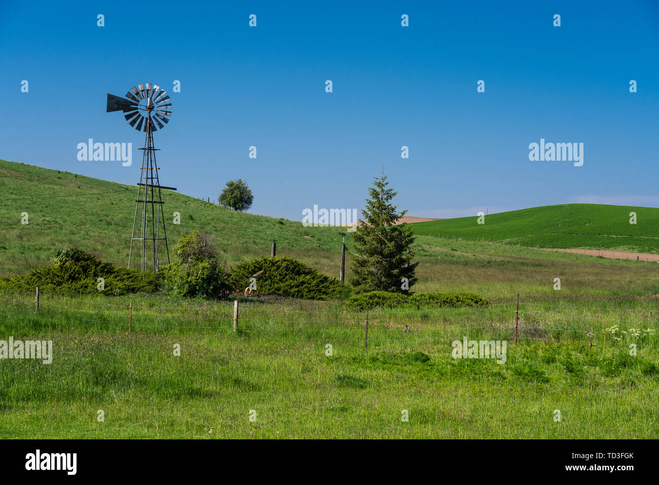 A windmill in the rolling hills of the Palouse, Washington, USA Stock ...