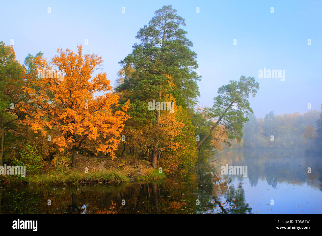 Beautiful forest with trees of fall colors reflecting in the lake Stock ...
