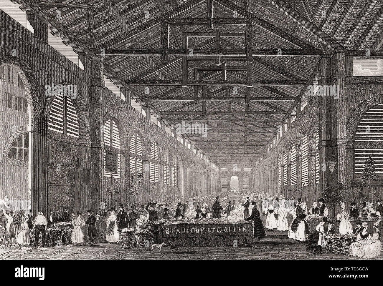 Marche de saint germain hi-res stock photography and images - Alamy